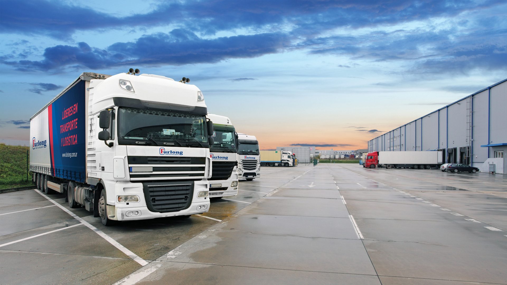 Furlong | DAS Branding